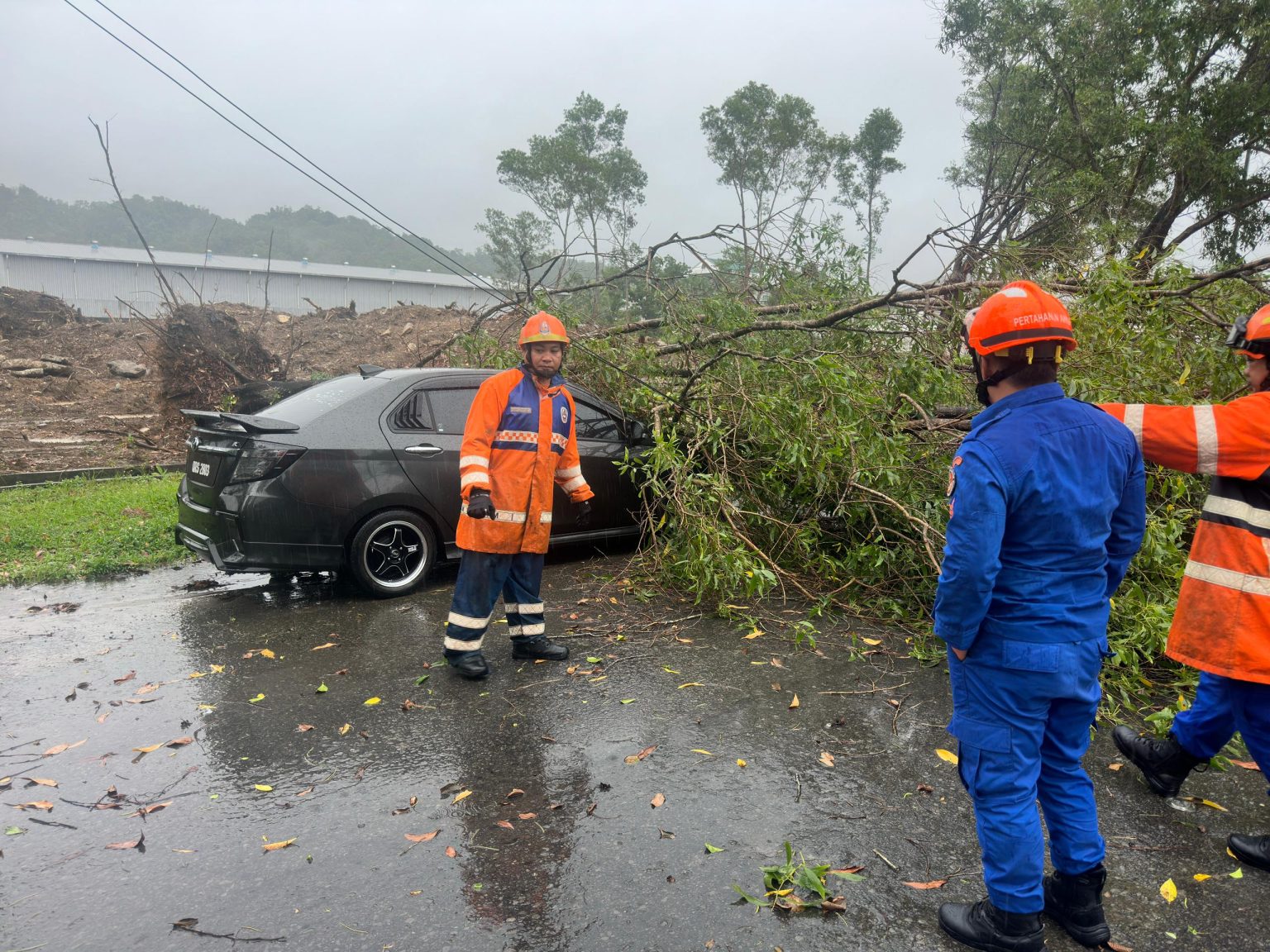 Hujan lebat di Kota Kinabalu, tiga pokok tumbang hempap tiga kenderaan ...